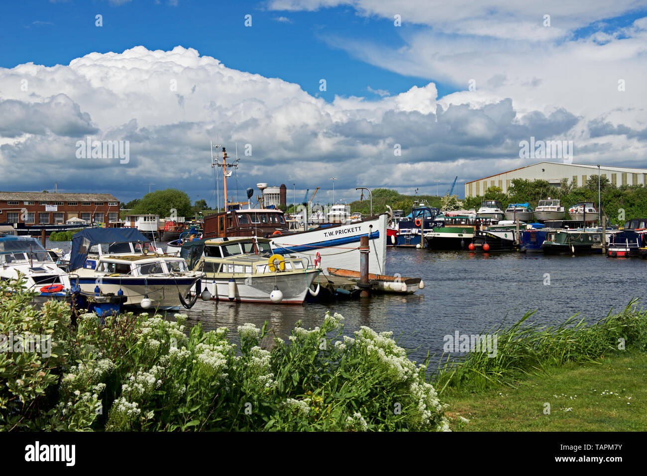 Goole hi-res stock photography and images - Alamy