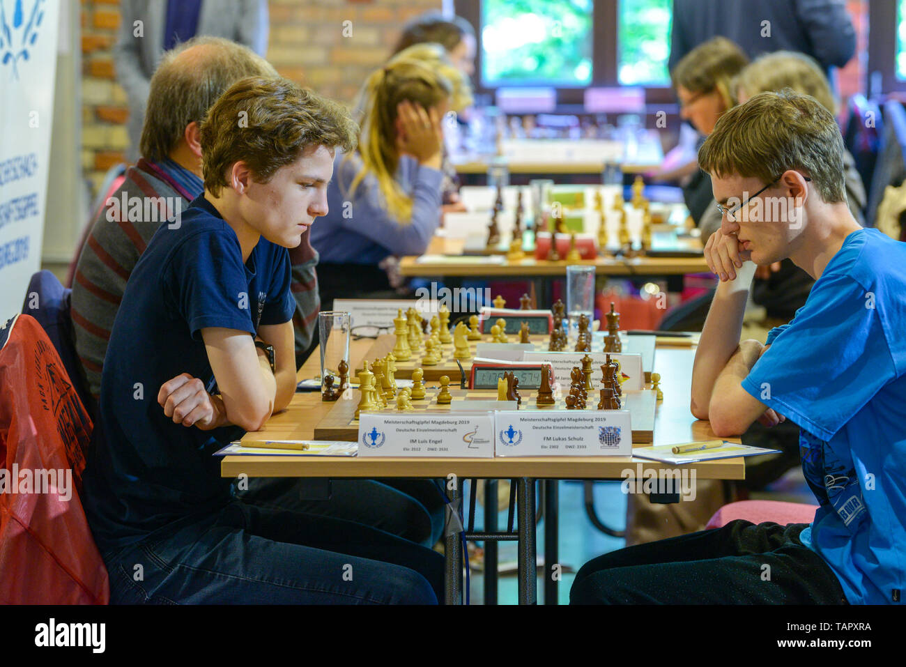 Chess federation hi-res stock photography and images - Alamy