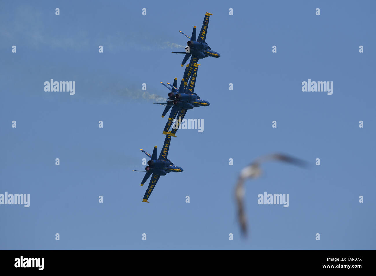 U s navy blue angels flight demonstration team hi-res stock photography ...