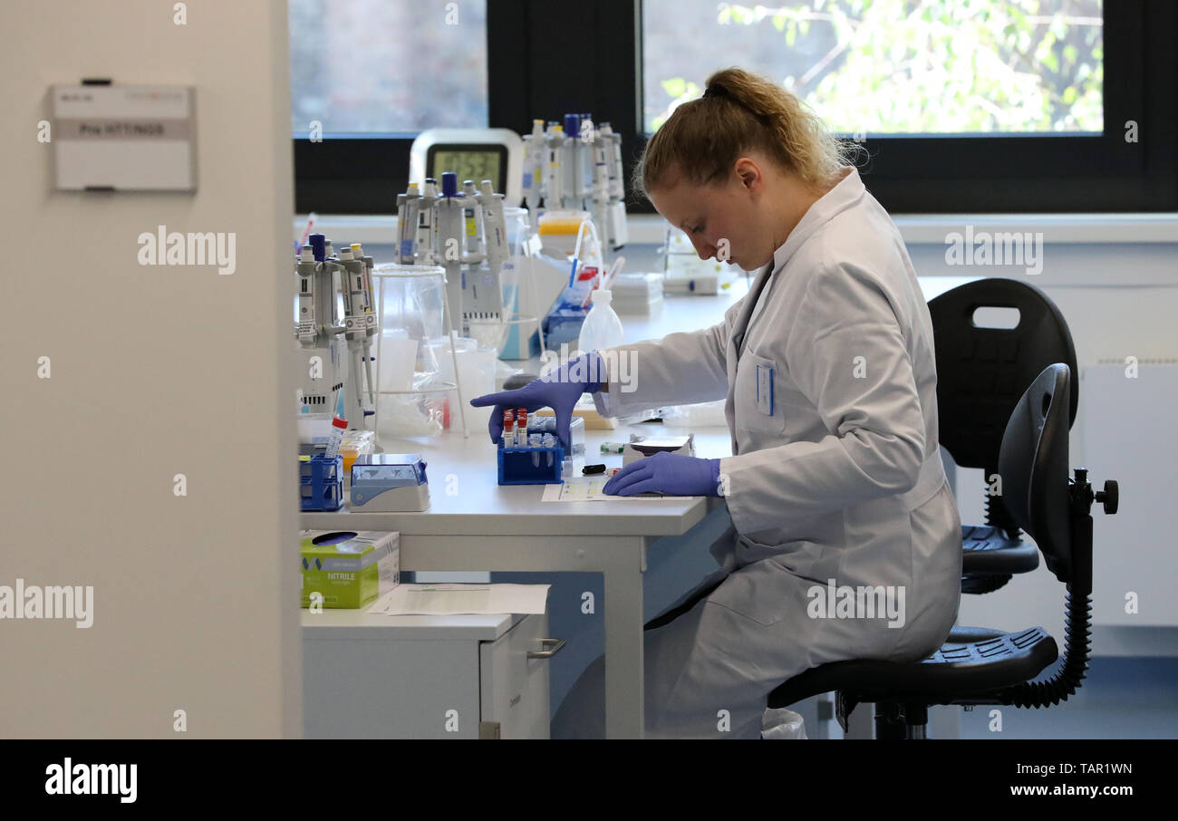 Rostock, Germany. 23rd May, 2019. The laboratory for DNA preparation in ...
