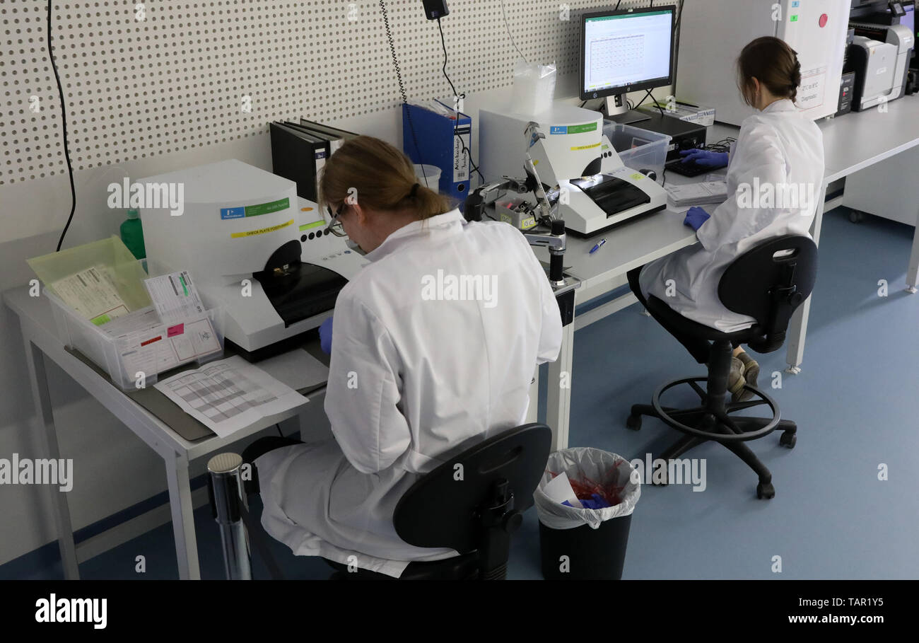 Rostock, Germany. 23rd May, 2019. The laboratory for DNA preparation in ...