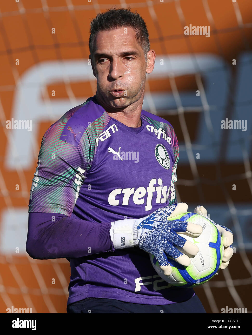 SÃO PAULO, SP - 27.05.2019: TREINO DO PALMEIRAS - Goalkeeper Fernando ...