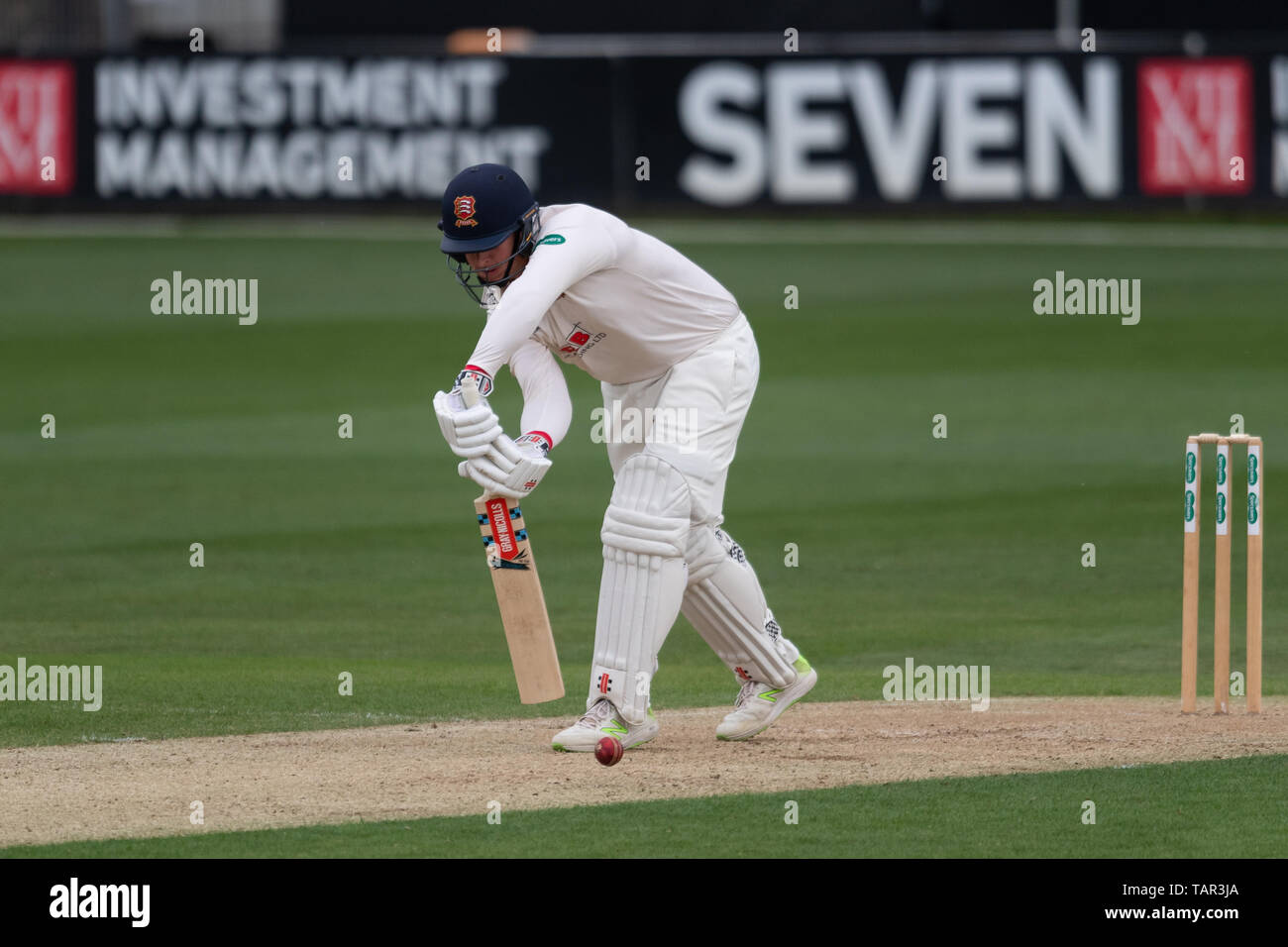 Michael pepper hi-res stock photography and images - Alamy