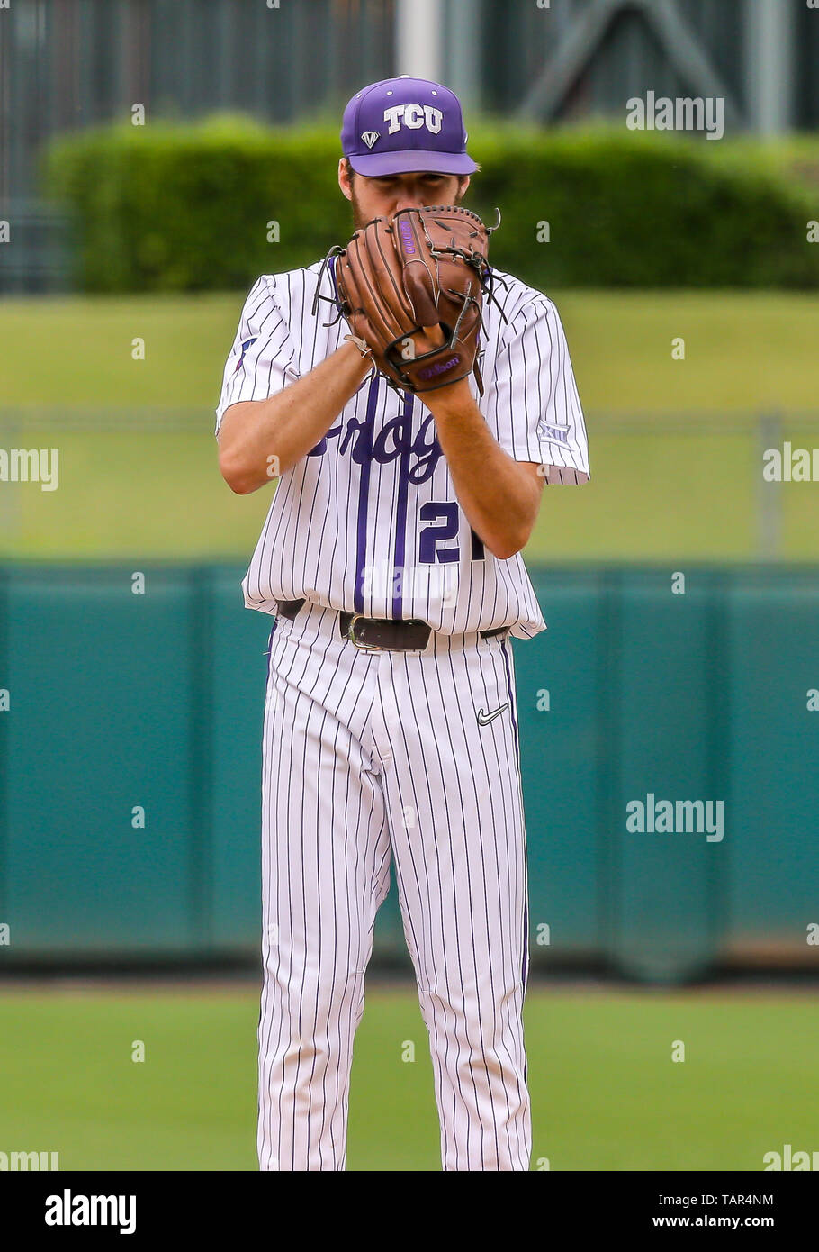 Frogs and king hi-res stock photography and images - Alamy
