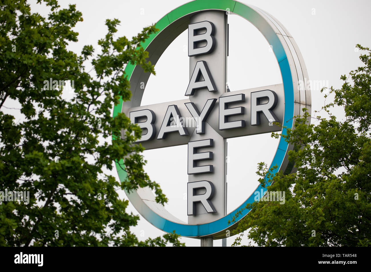 Bayer Logo Bayer HealthCare, MEDRAD Europe B.V.