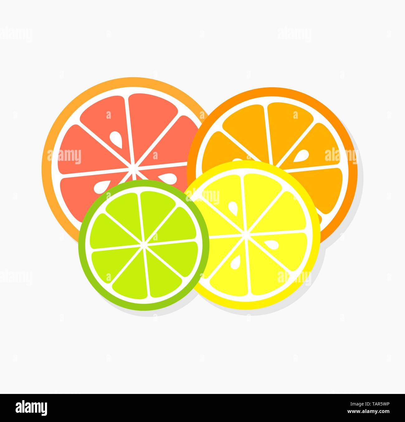 Citrus fruit slices. Vector illustration Stock Vector Image & Art - Alamy
