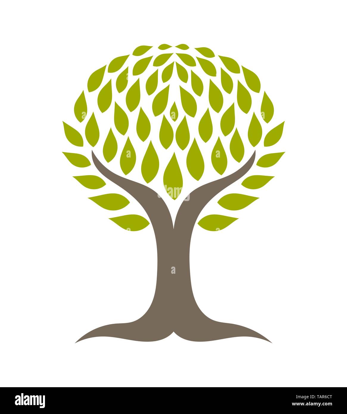 Flat tree roots Cut Out Stock Images & Pictures - Alamy