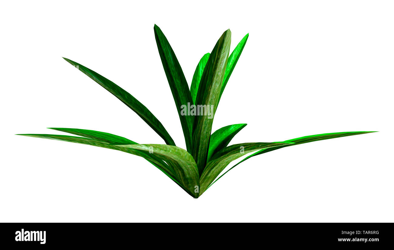 3D rendering of a patch of grass isolated on white background Stock ...