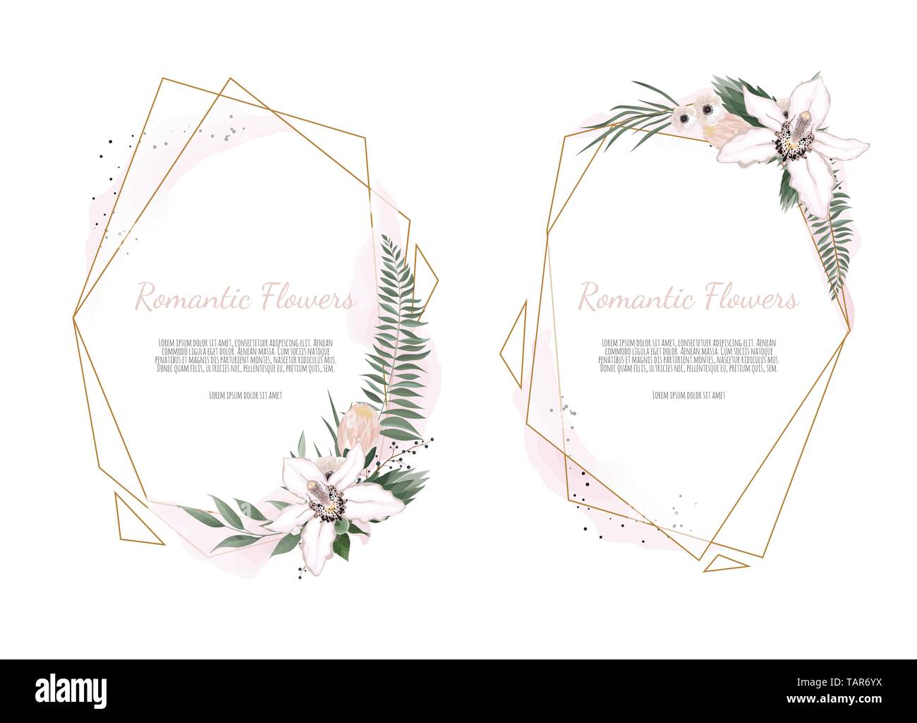 Orchid eucalyptus Stock Vector Images - Alamy