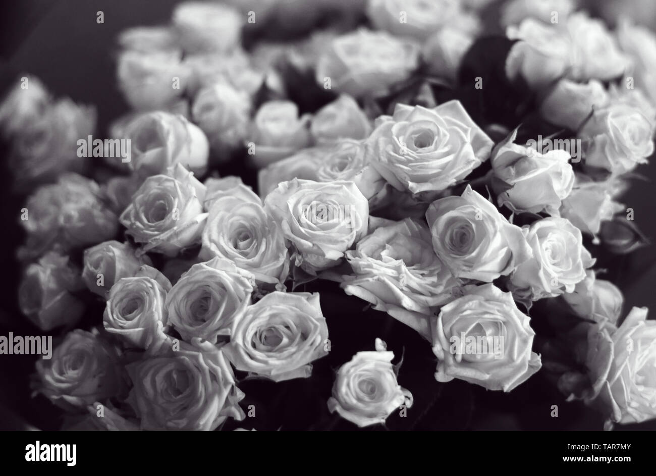 Beautiful Tumblr Photography Wallpaper