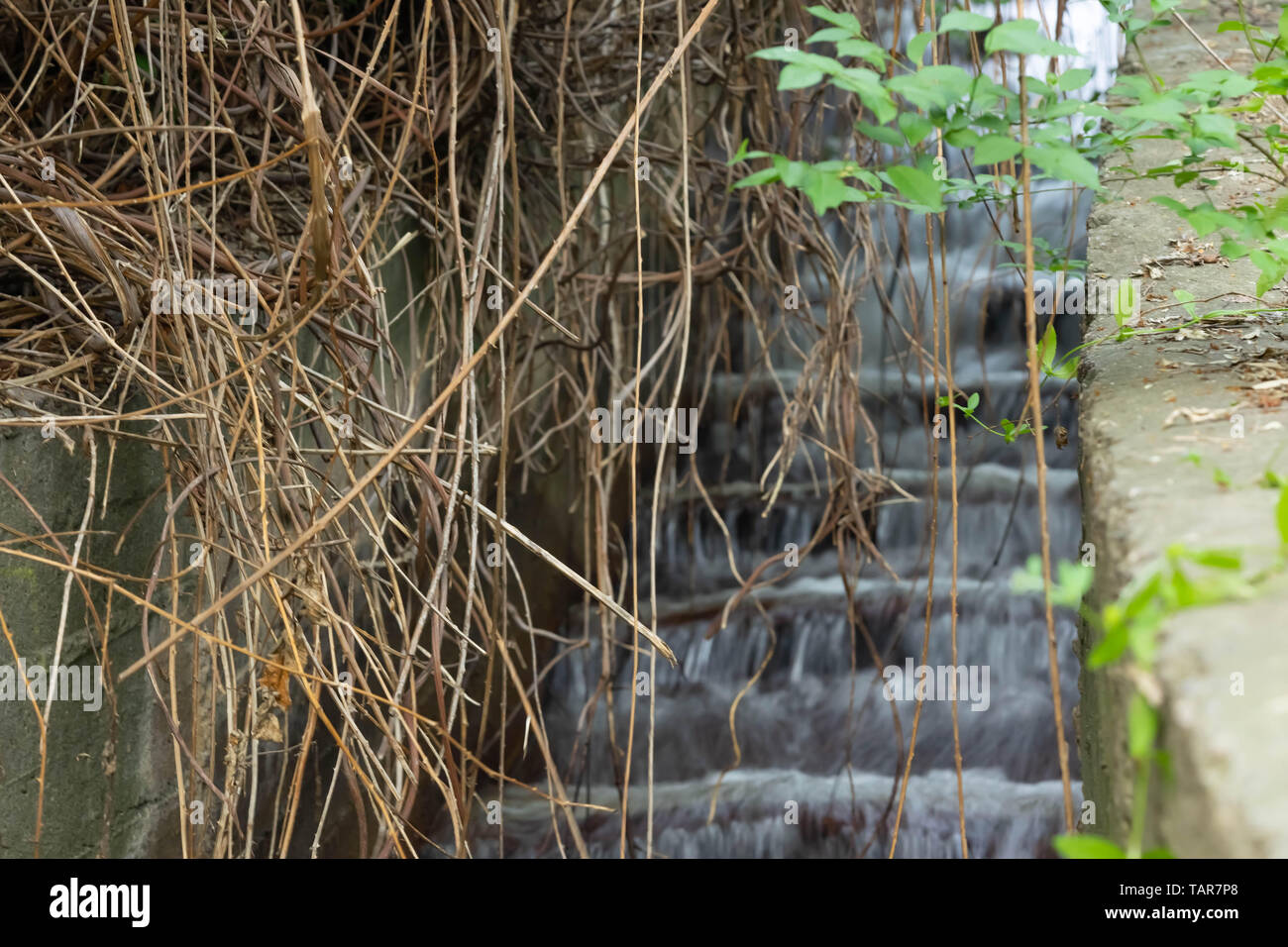 A stream of water, a waterfall formed on a flooded concrete staircase ...