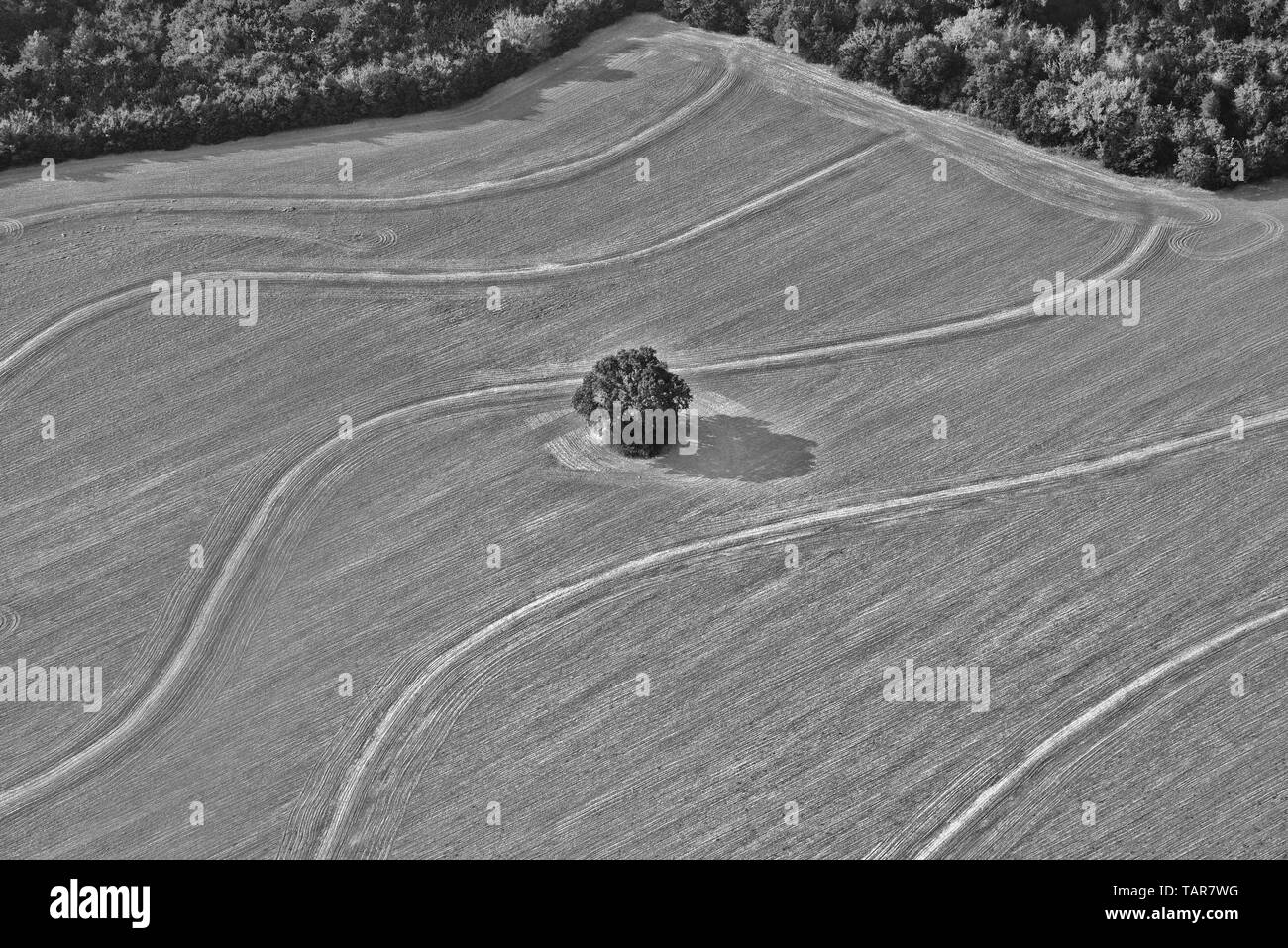 East texas hi-res stock photography and images - Alamy