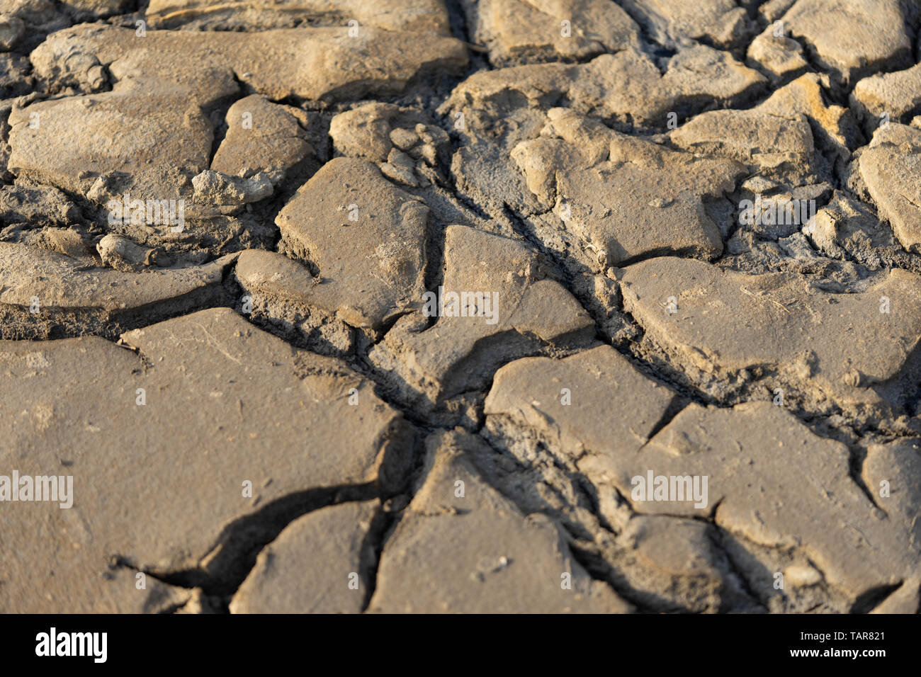 Cracked soil in the sun. Desert. Drought Saline Stock Photo - Alamy