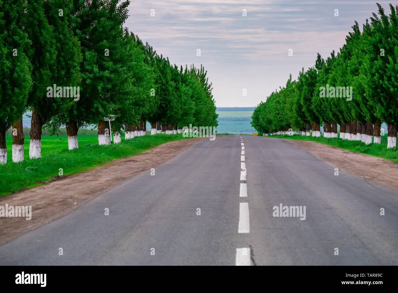 Road trip across russia hi-res stock photography and images - Alamy