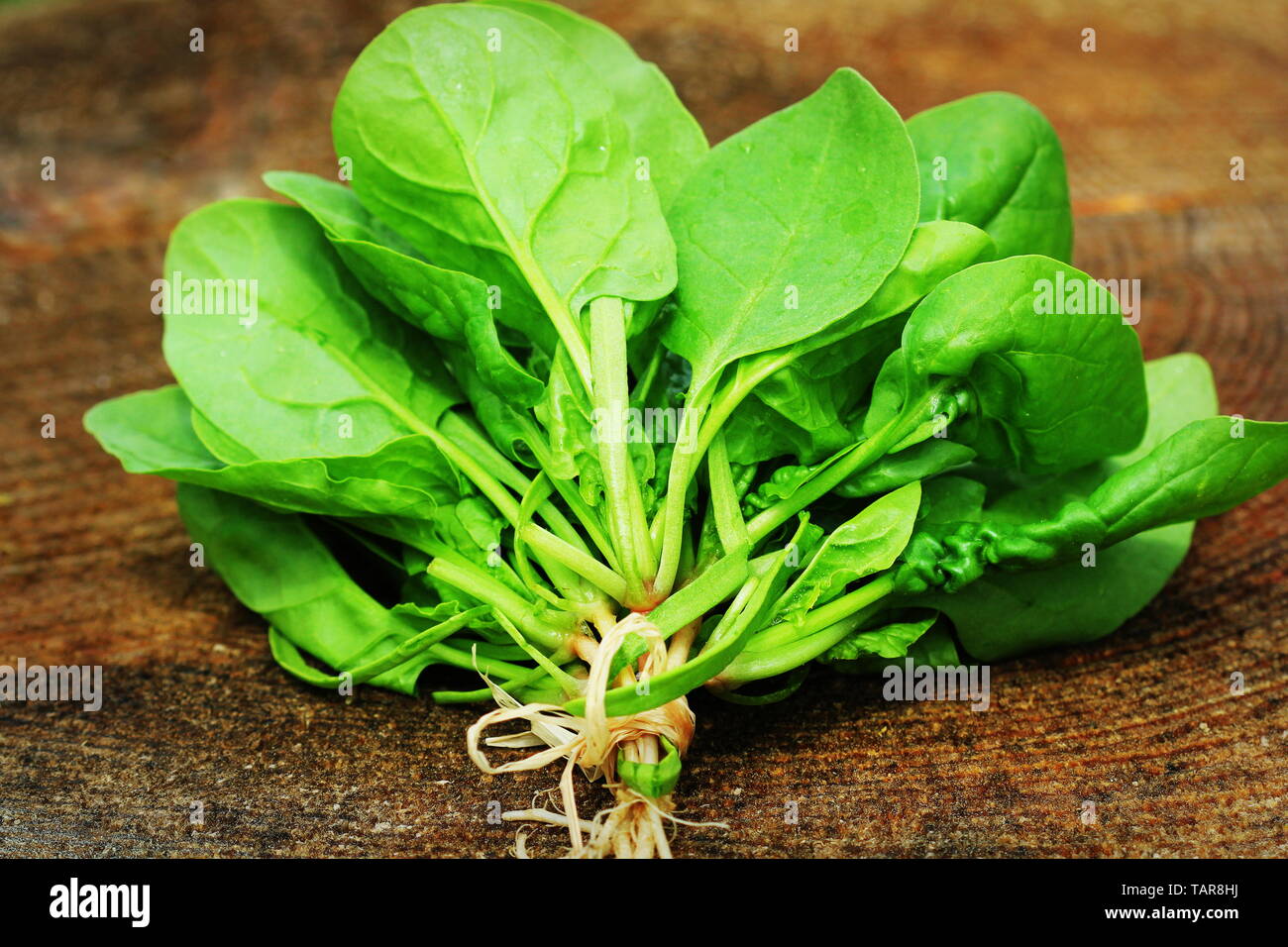 Bunch of fresh spinach with roots over old wooden surface. Dark rustic ...