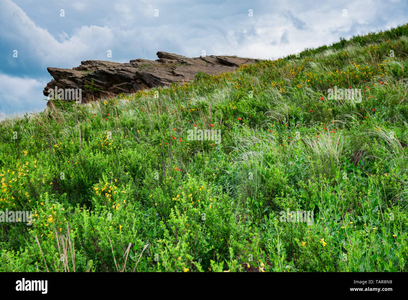 Stone cavern in green steppe landscape view with cloudy sky and steppe ...