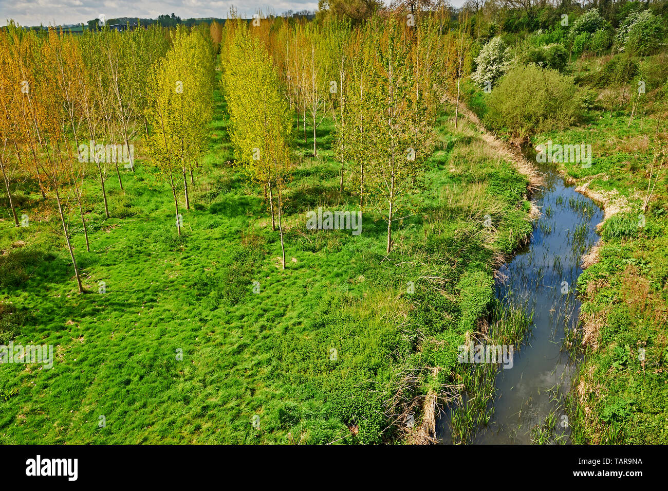 The River Itchen meandering through the Warwickshire countryside Stock ...