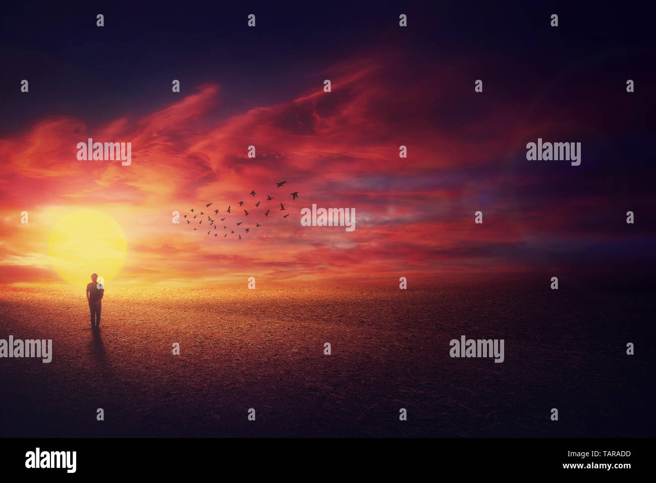 Jou symbol hi-res stock photography and images - Alamy