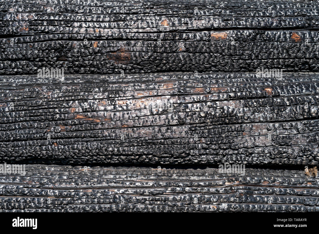 Log texture hi-res stock photography and images - Alamy