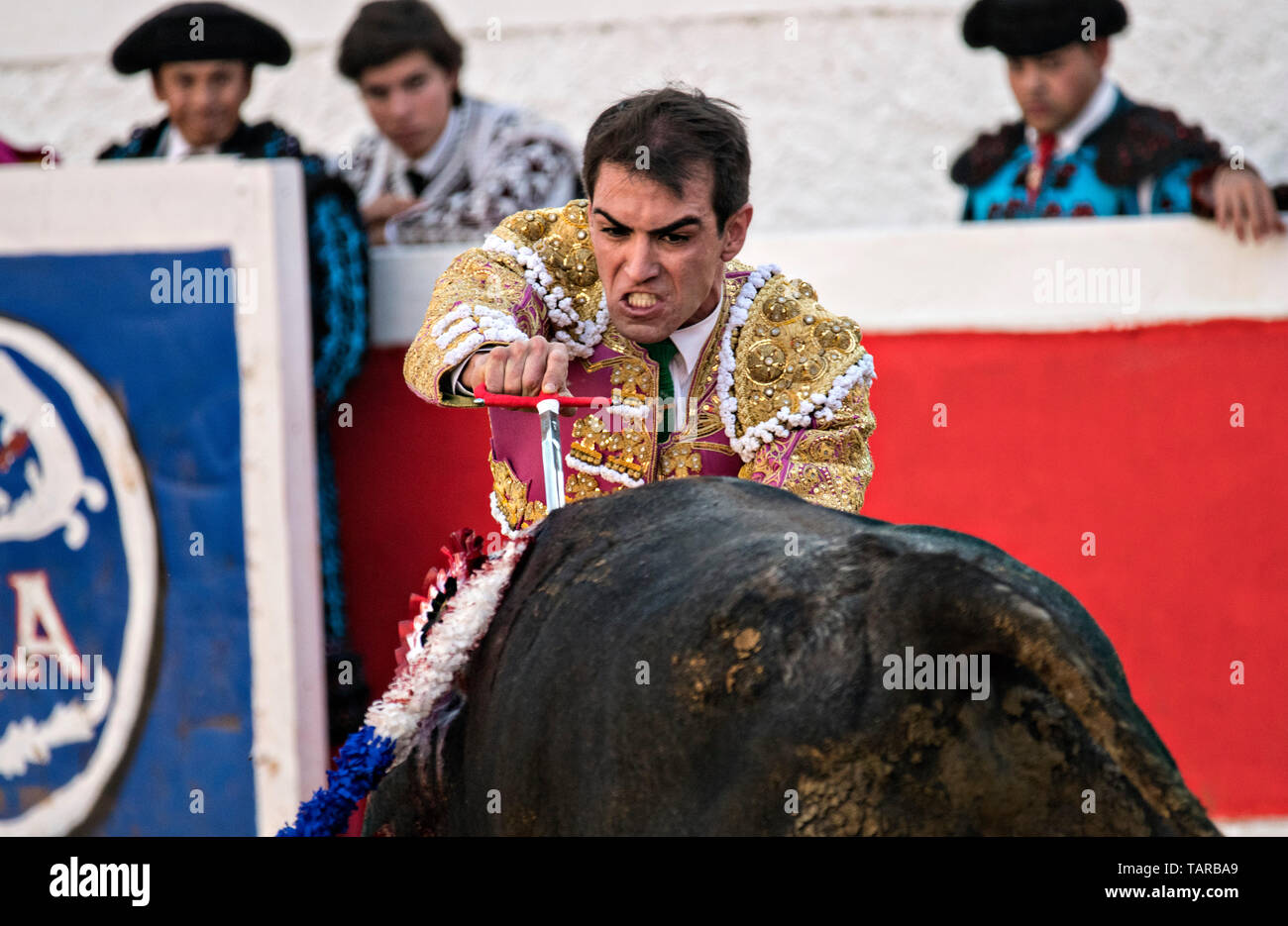 Mexican Bullfighter Arturo Macías thrusts a sword into a bull during a ...