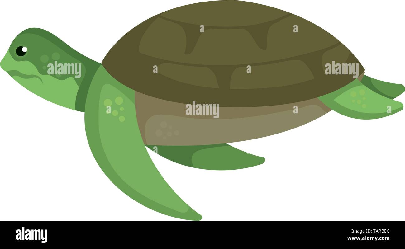 turtle animal nature icon vector illustration Stock Vector Image & Art ...