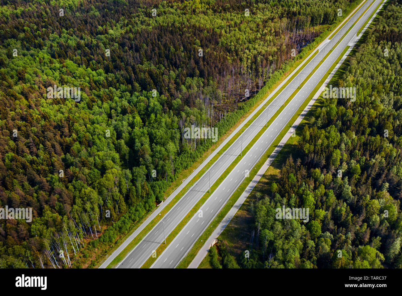 Highway through the forest hi-res stock photography and images - Alamy