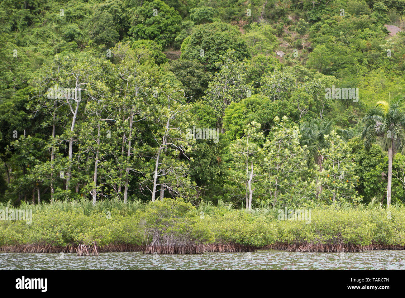 Haiti, hispaniola island, Haiti landscape Stock Photo - Alamy