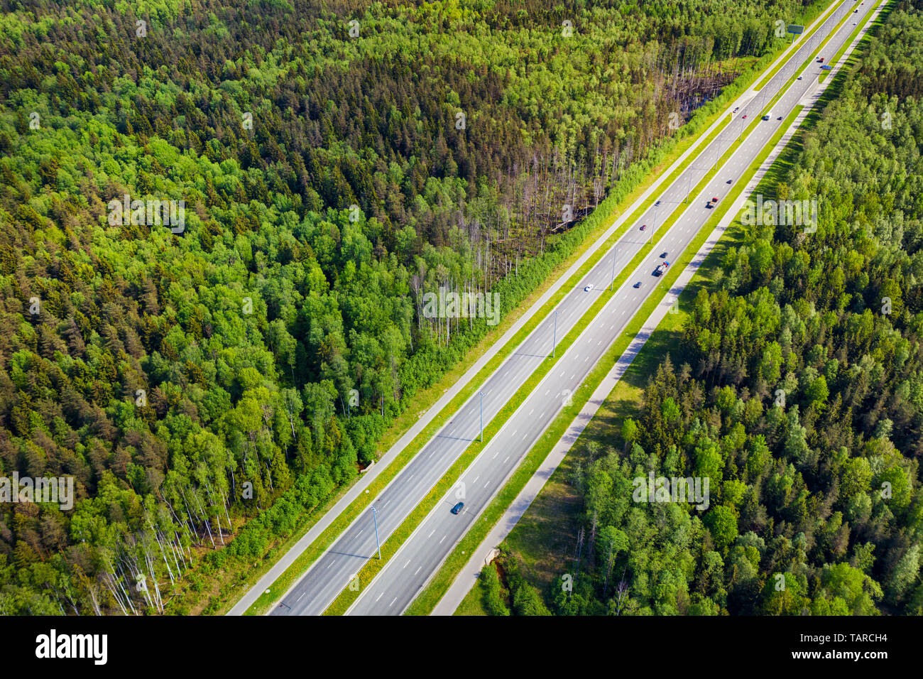 Highway through the forest hi-res stock photography and images - Alamy
