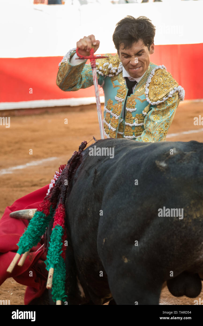Bullfighter Francisco Martinez thrusts a sword into a bull at the Plaza ...