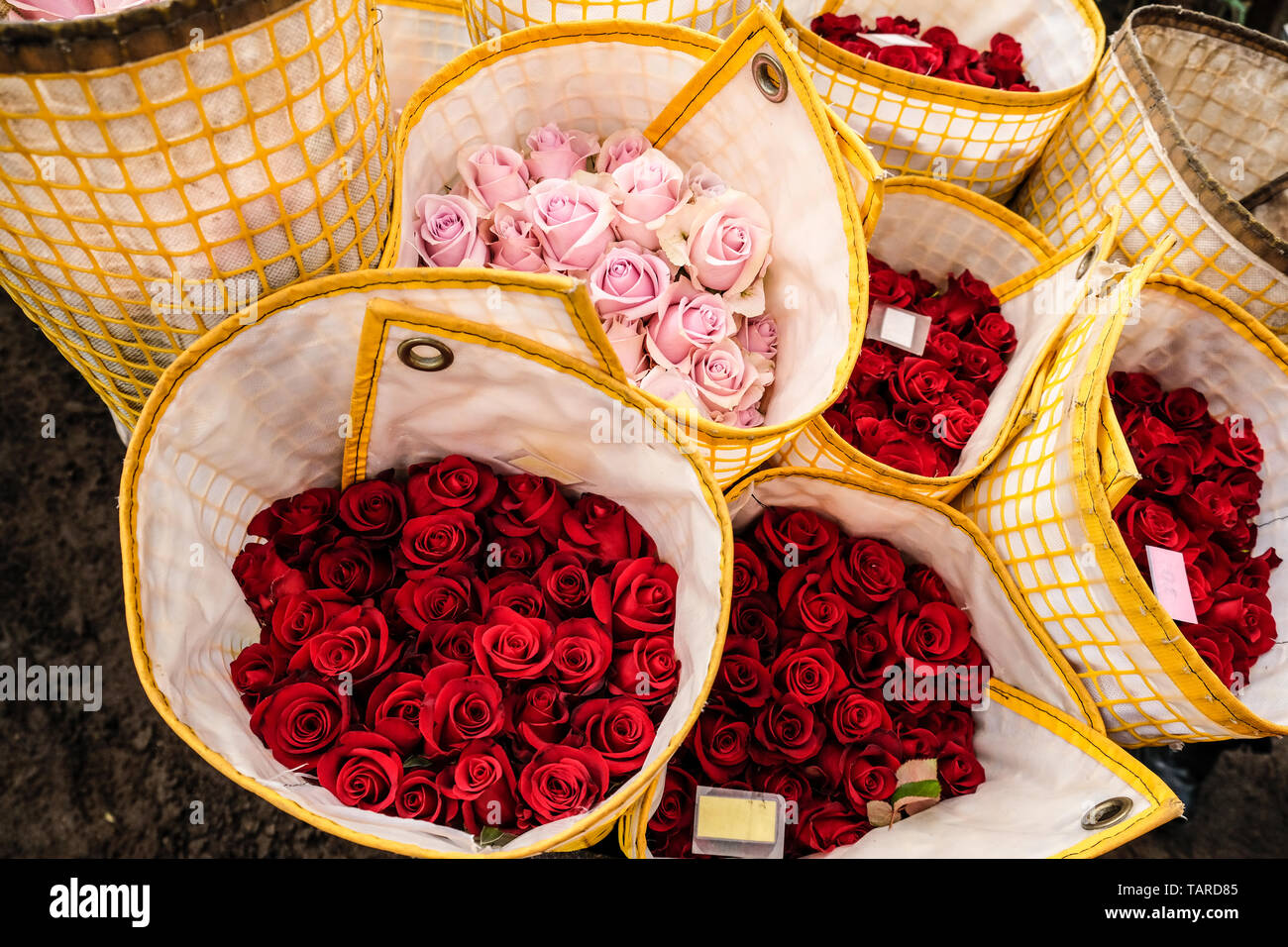 Bouquets of Ecuadorian roses ready to be shipped Stock Photo - Alamy