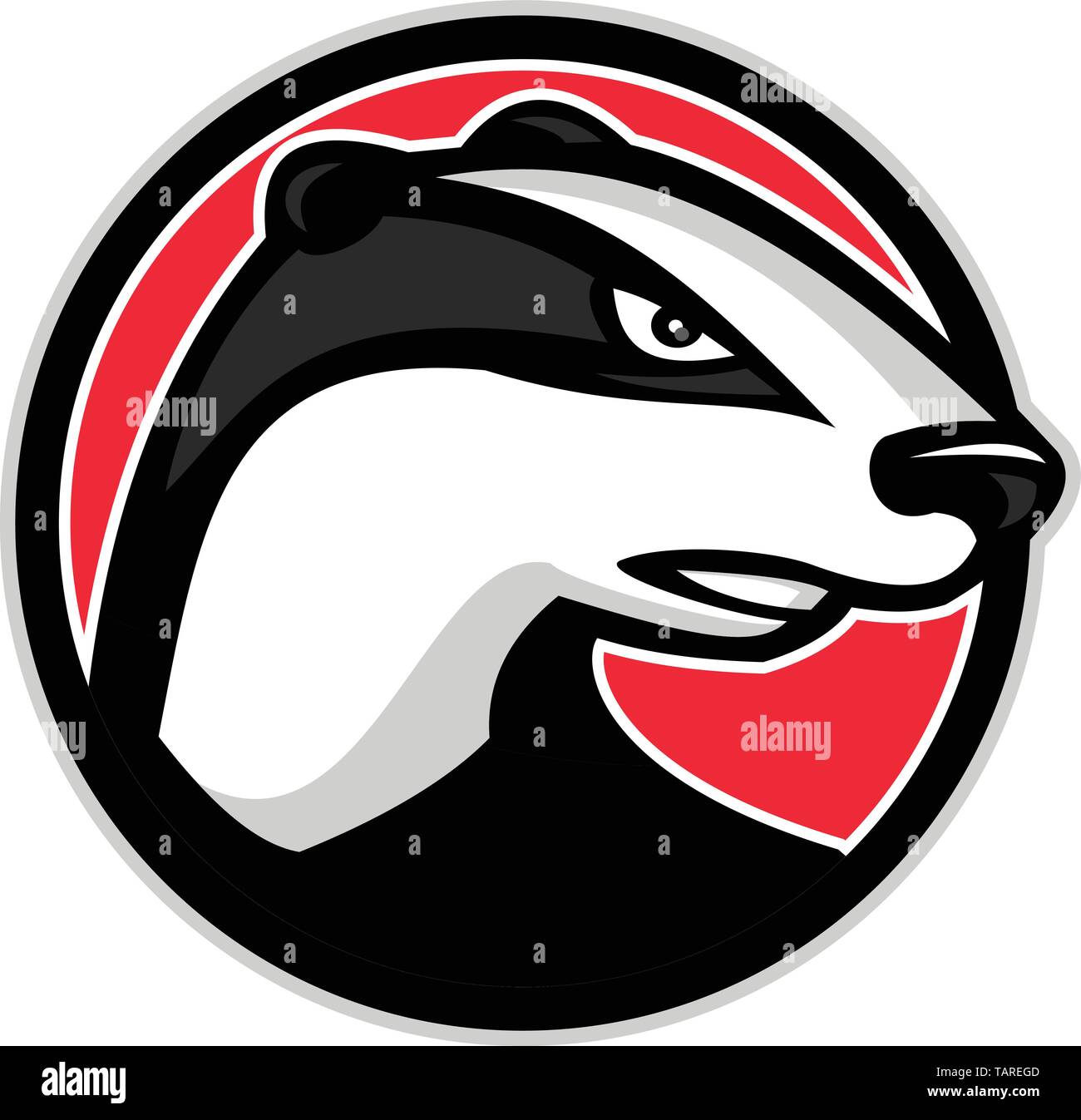 American badger looking Stock Vector Images - Alamy