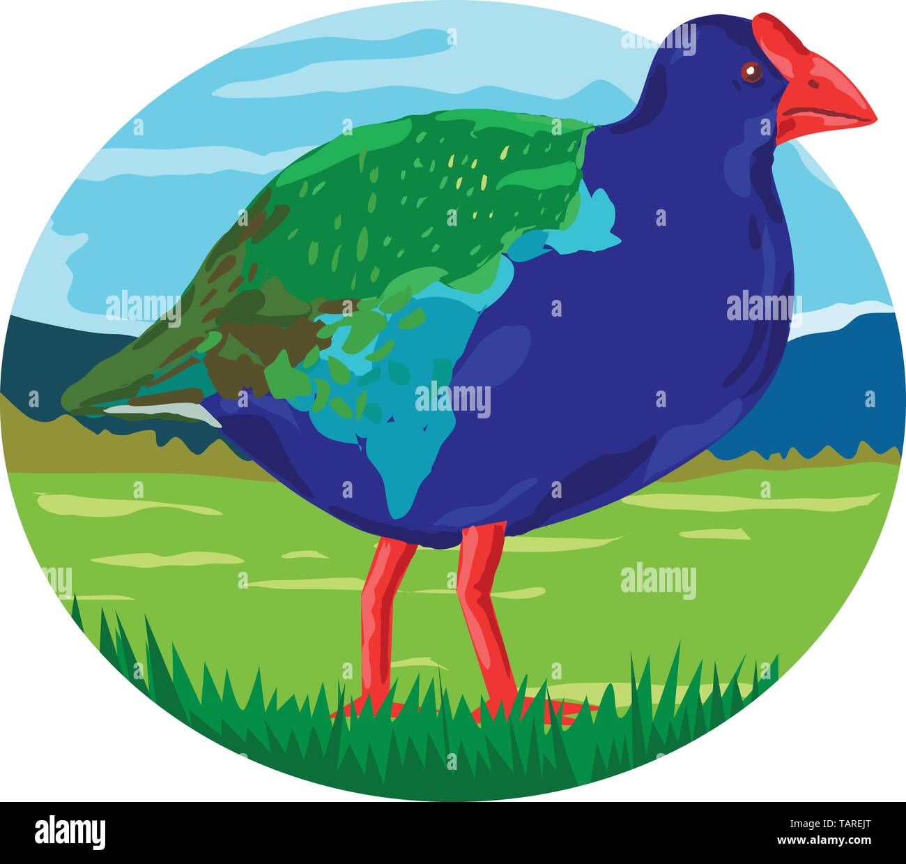 Flightless rail Stock Vector Images - Alamy