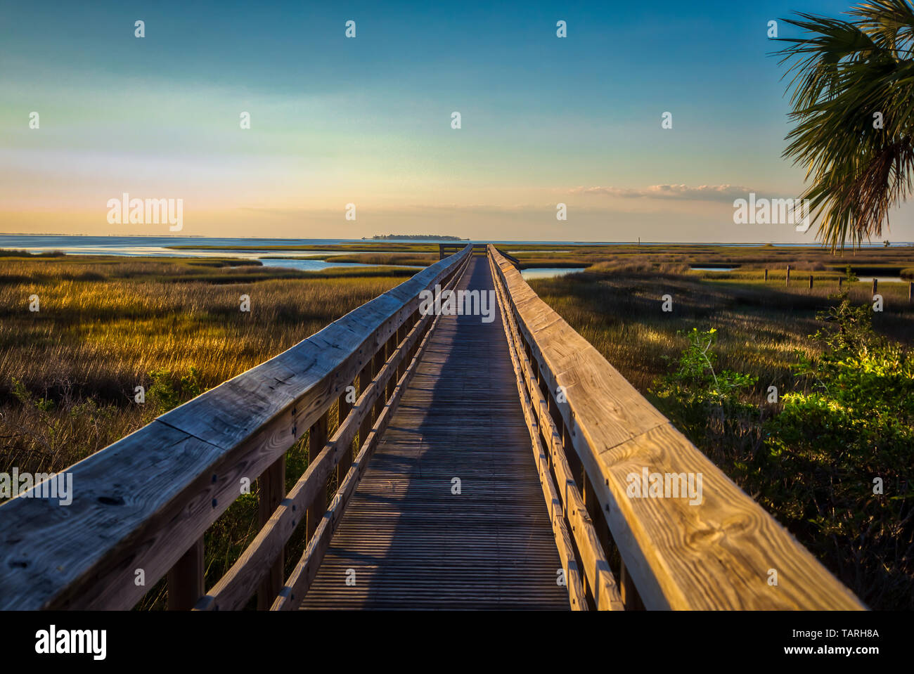 Florida slough swamp marsh hi-res stock photography and images - Alamy