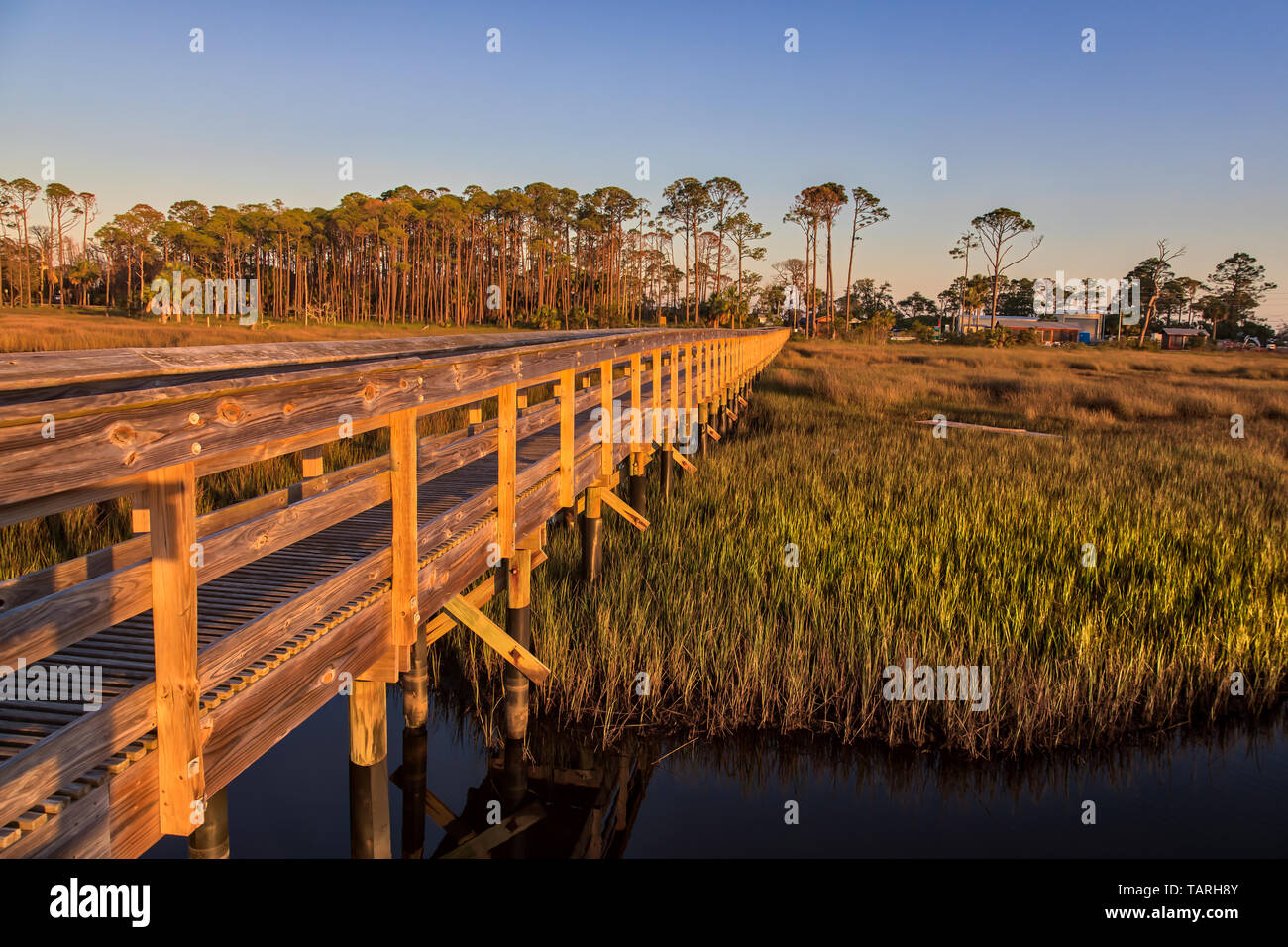 Sunset in the Marsh Stock Photo - Alamy