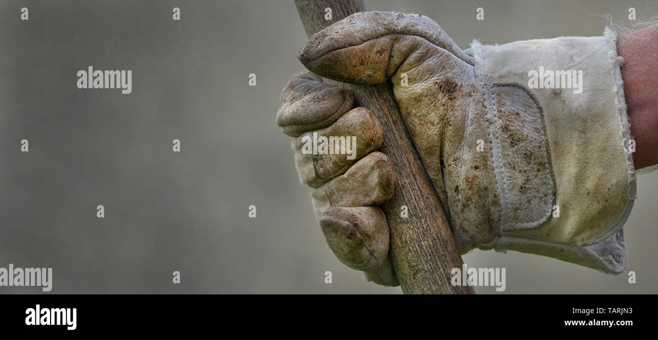 Male hand with work gloves at work Stock Photo - Alamy