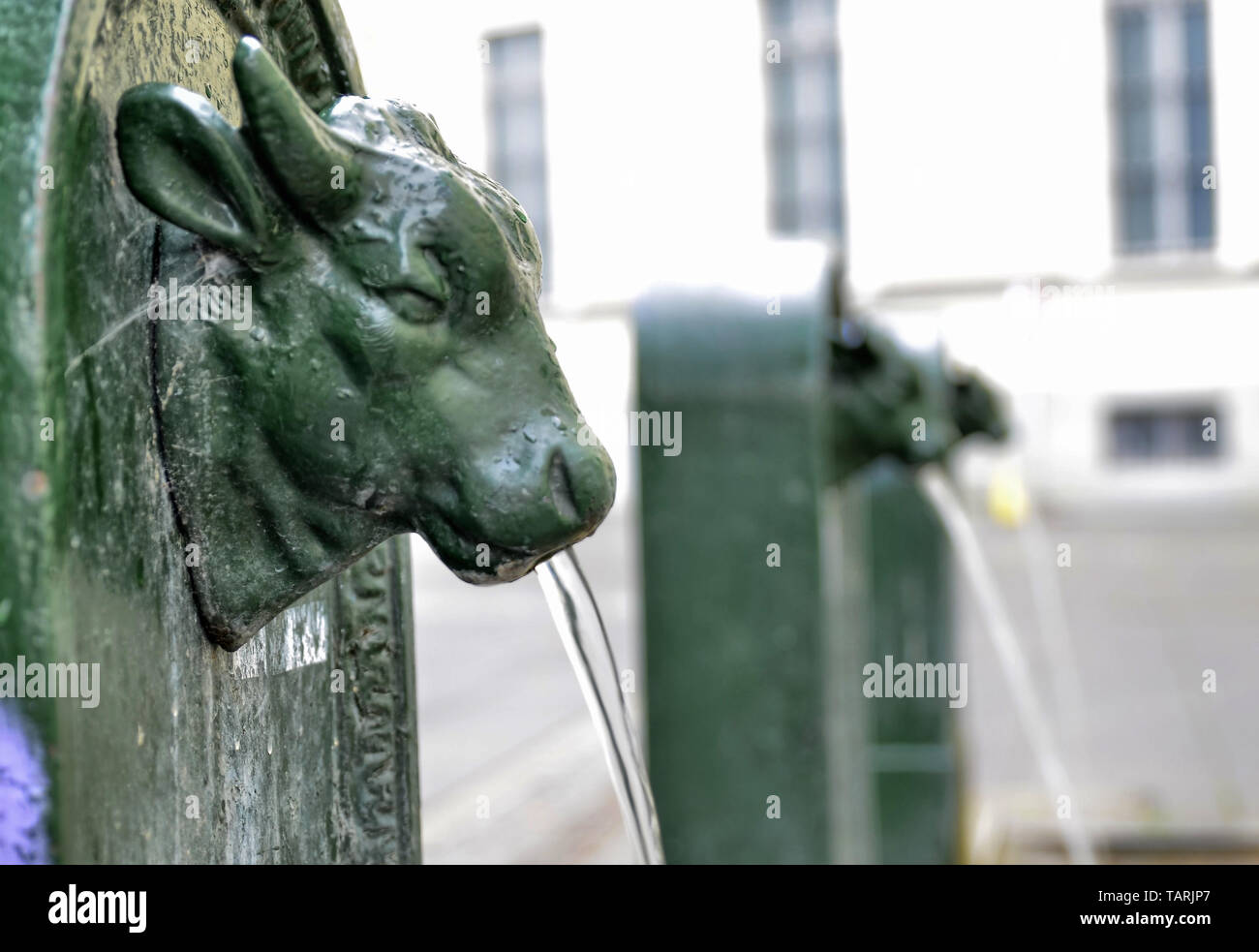 Turin, Piedmont, Italy. May 2019. A look at Piazza Gian Lorenzo Bernini ...