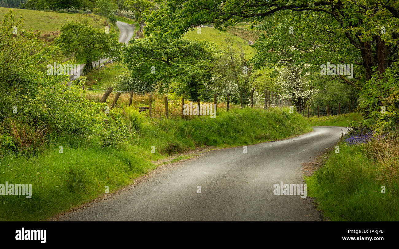 Welsh country lane hi-res stock photography and images - Alamy