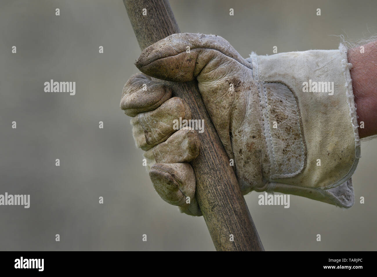 Male hand with work gloves at work Stock Photo - Alamy