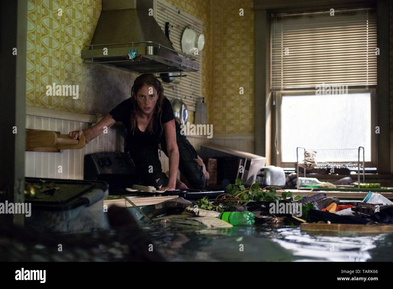 Crawl is an upcoming American disaster horror film directed by ...