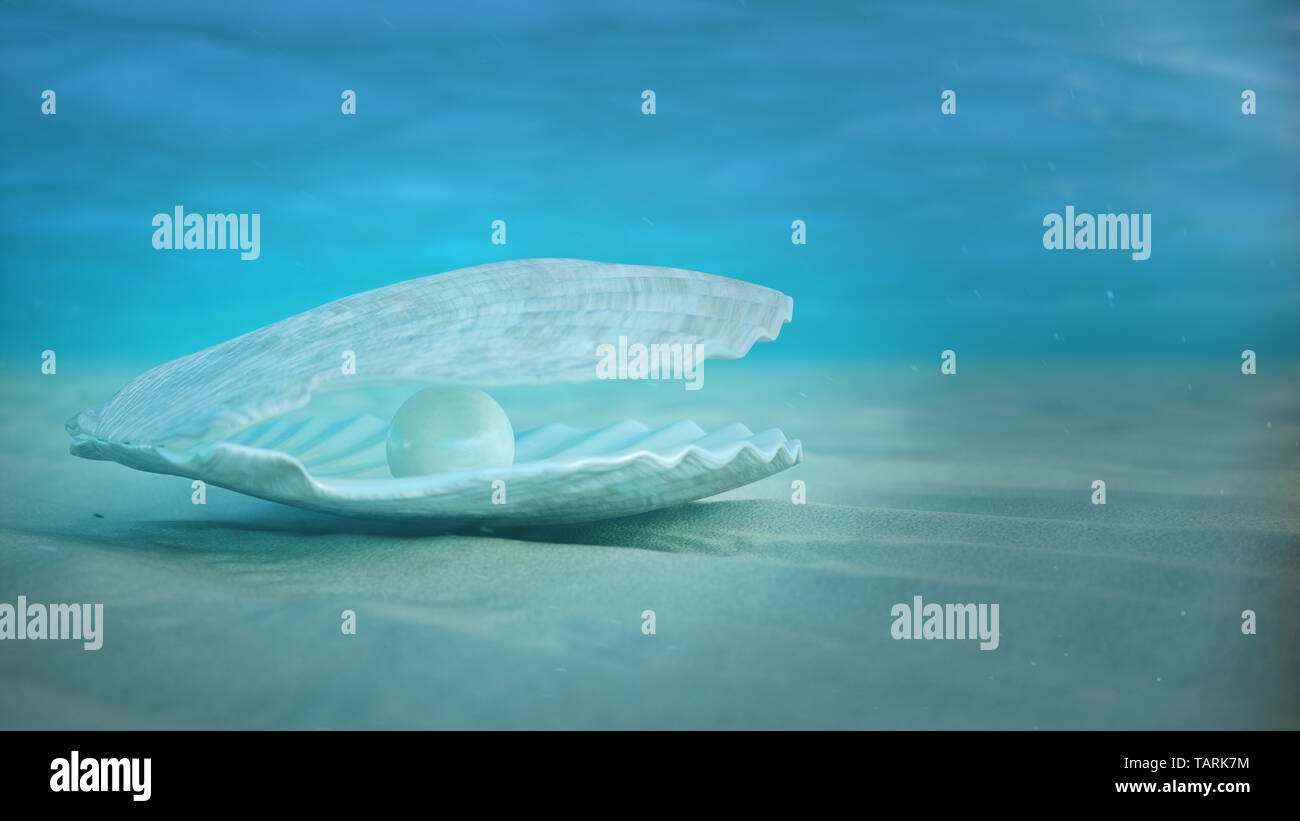 Mother of pearls underwater. Sea shell underwater. Beautiful pearls ...