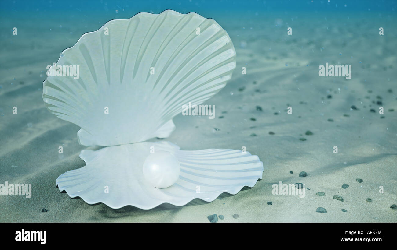 Mother of pearls underwater. Sea shell underwater. Beautiful pearls ...