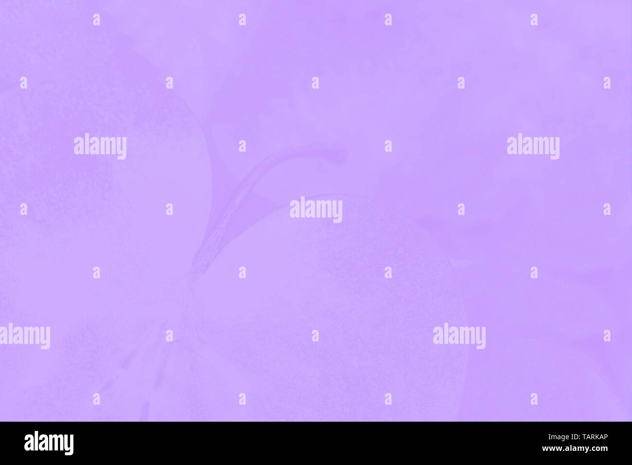 Soft light violet color background with delicate apple pattern Stock ...
