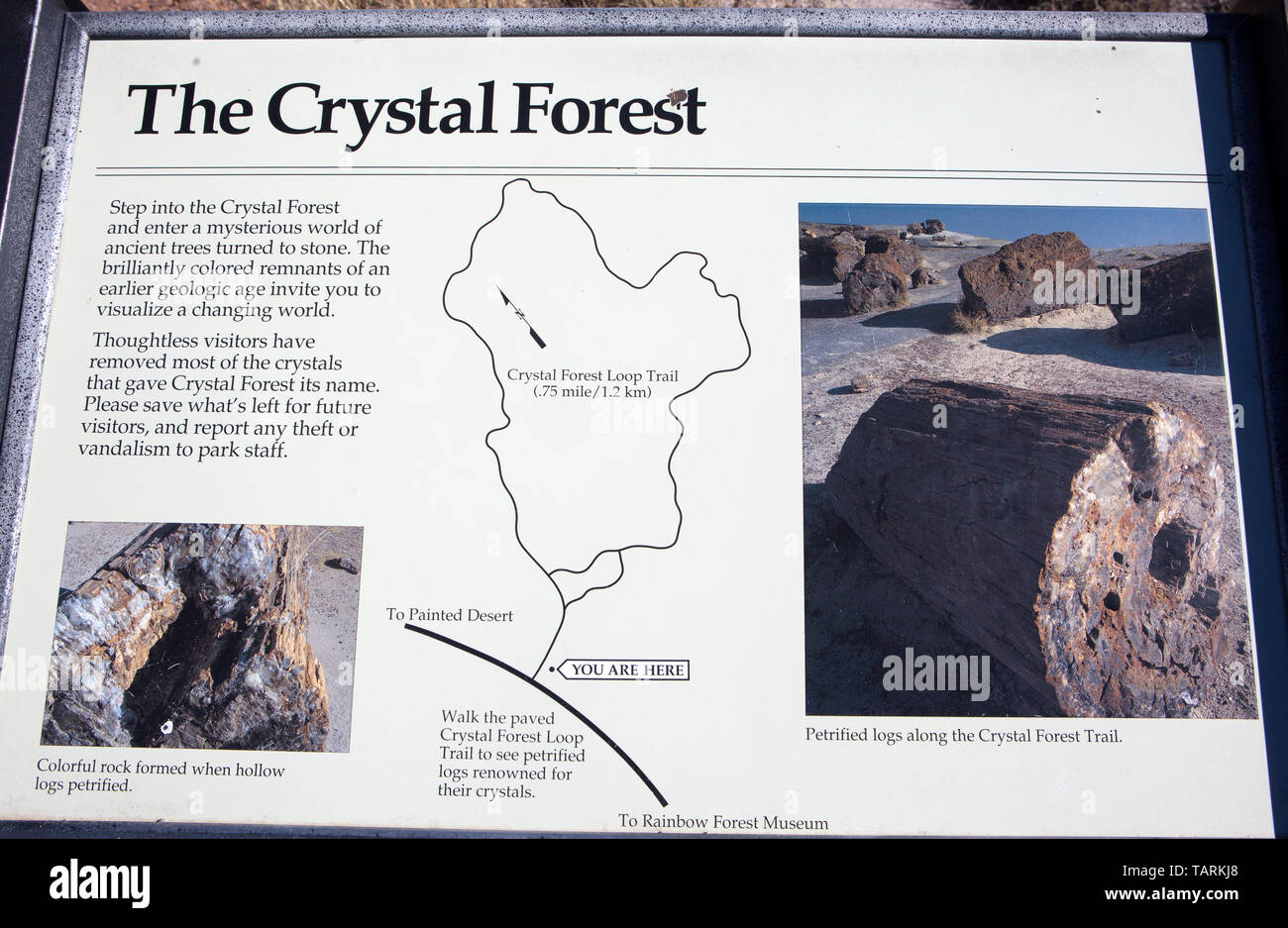 Petrified Forest National Park, Arizona, USA Information panel at the ...
