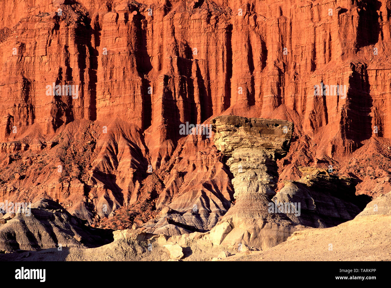 Argentina, Province San Juan, Ischigualasto Provincial Park (Valley of ...