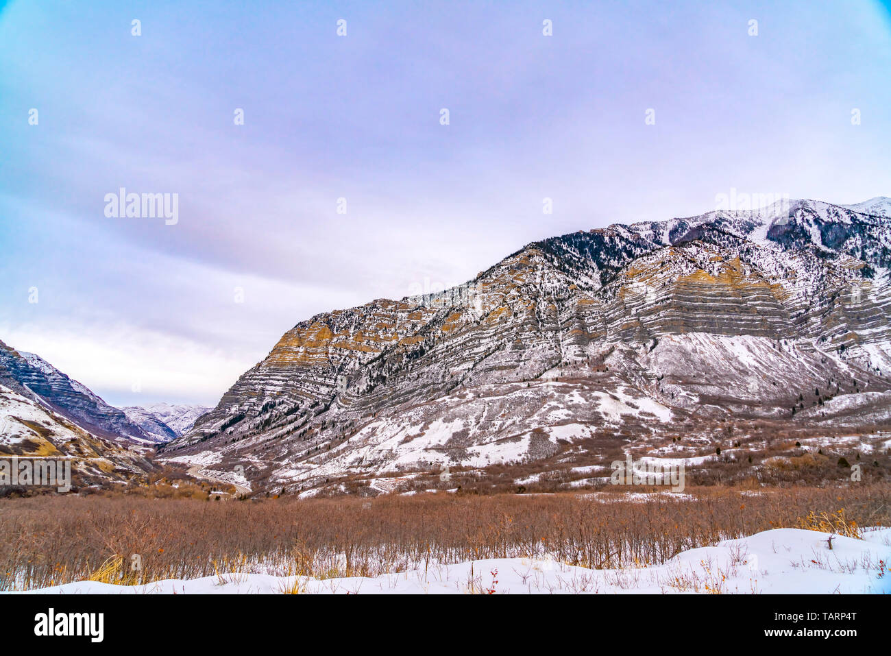 Striking grassy hi-res stock photography and images - Alamy