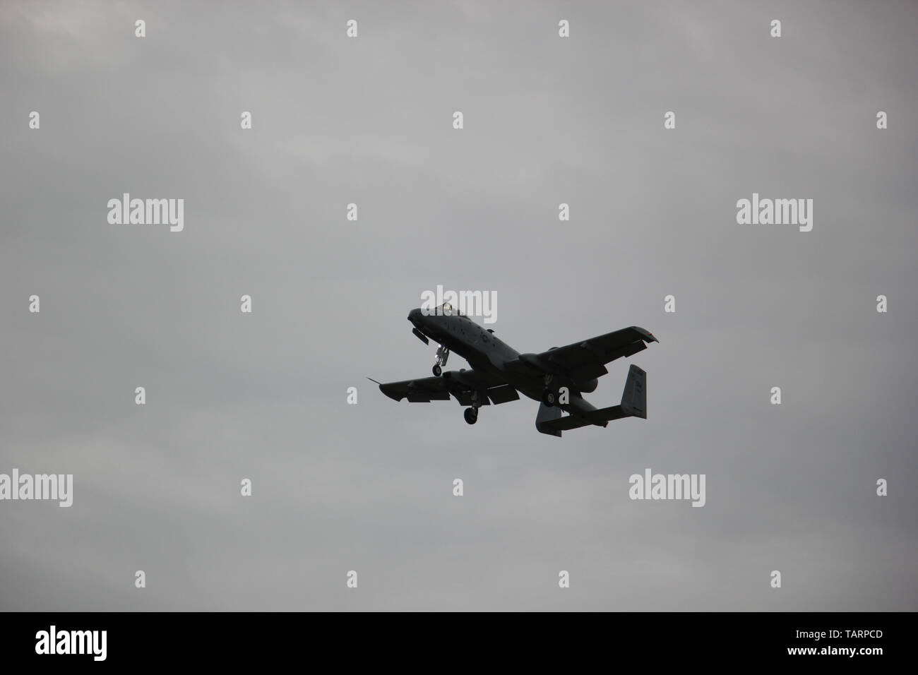 A 10 warthog hi-res stock photography and images - Alamy