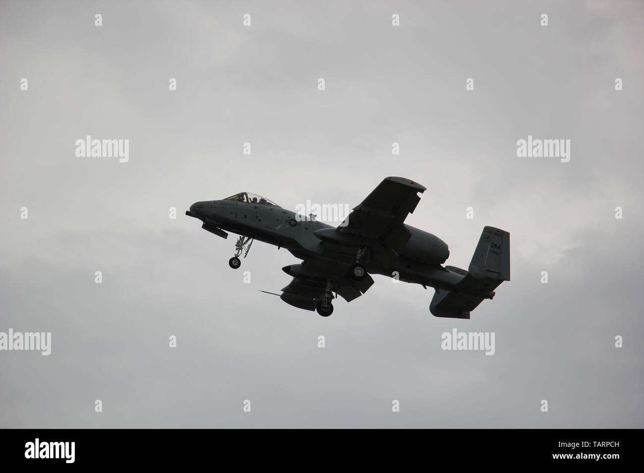 A 10 warthog hi-res stock photography and images - Alamy