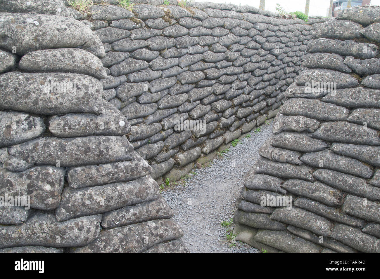 Ww1 trenches trench warfare over the top hi-res stock photography and ...