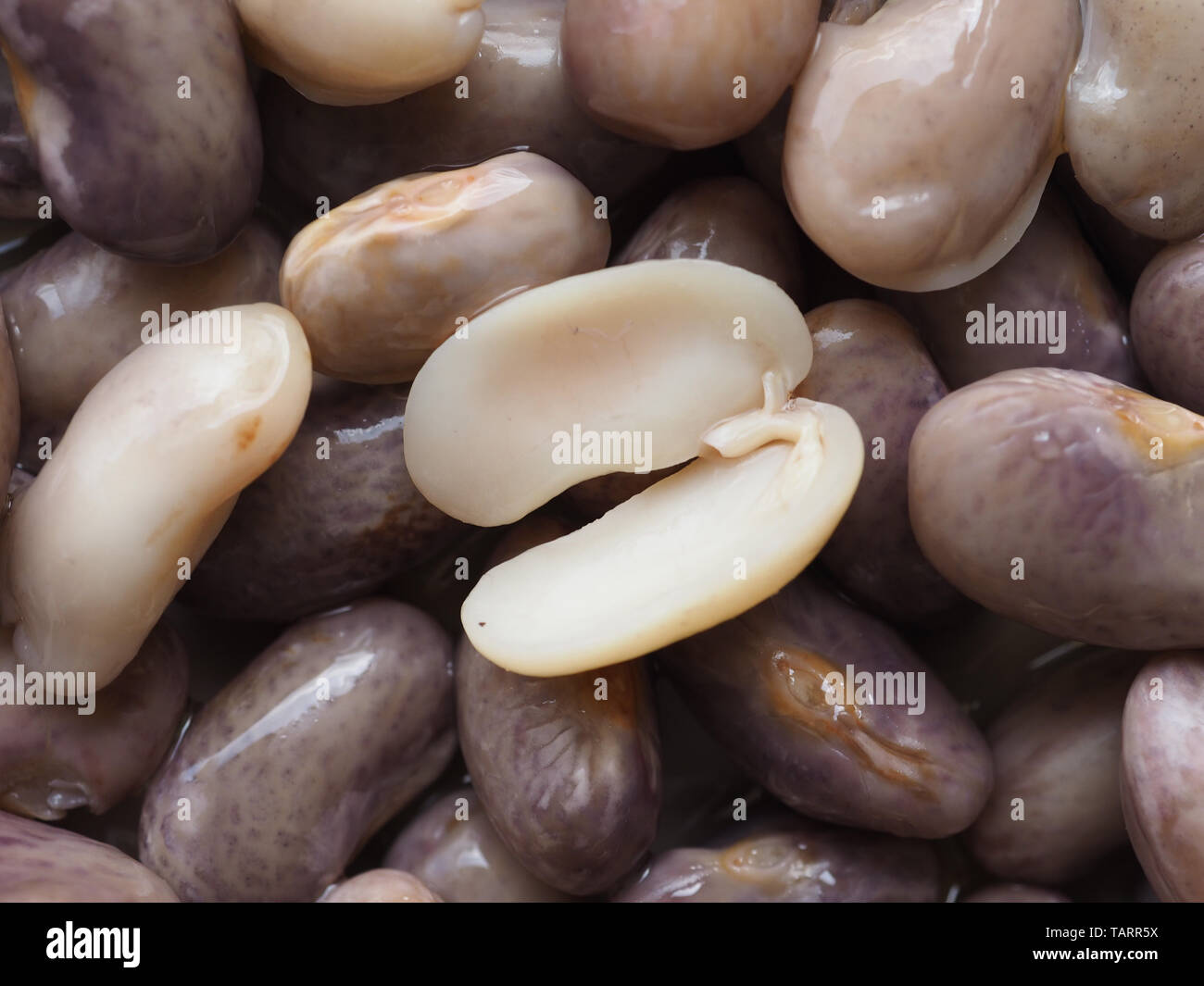 Crimson beans variety common hi-res stock photography and images - Alamy
