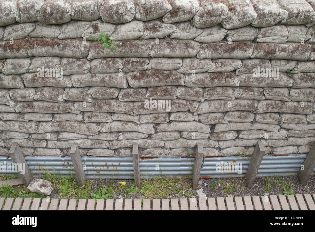 Yorkshire Trench and Dugout Ypres Ieper Belgium Stock Photo - Alamy